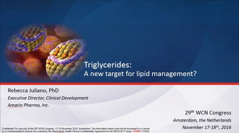Triglycerides: A new target for lipid management?